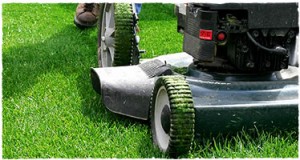 Find Ways to Save Water Outdoors | WaterMatters.org